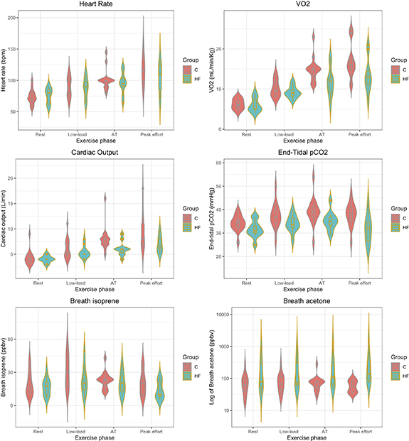 Breath analysis combined with cardiopulmonary exercise testing and ...