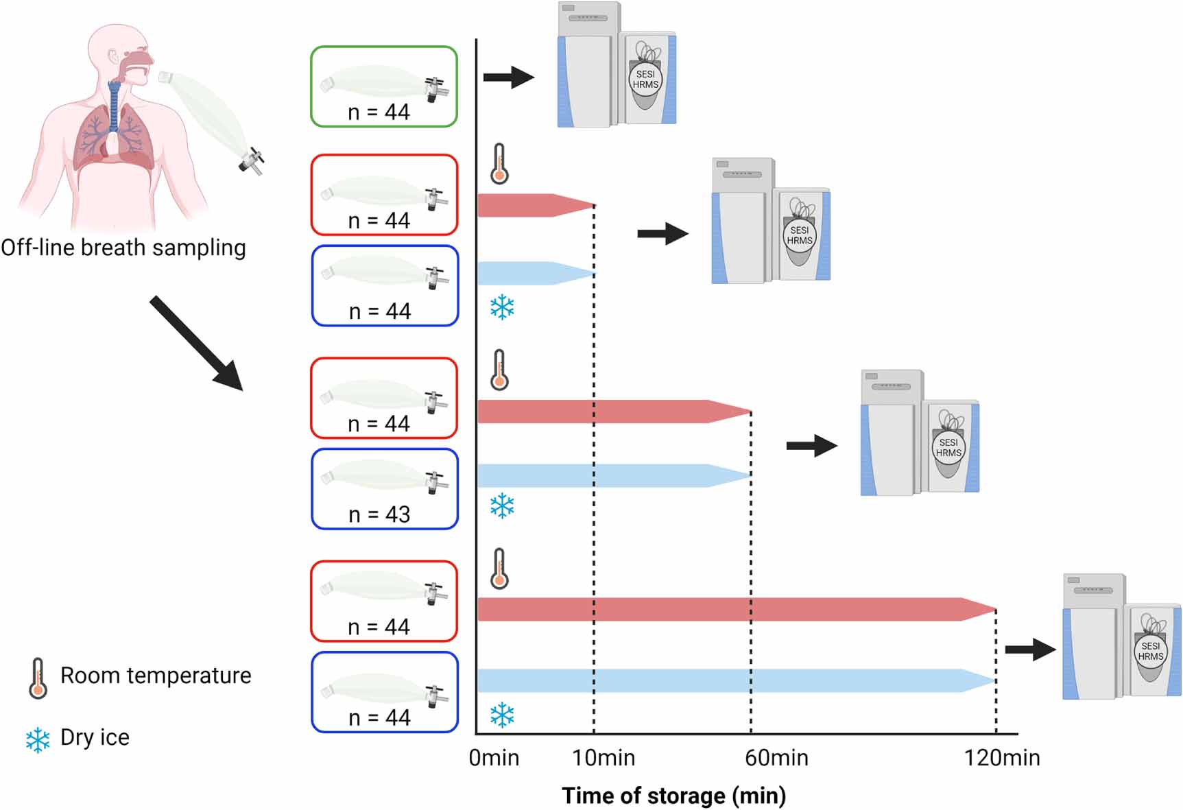 Preservation of exhaled breath samples for analysis by off-line SESI ...