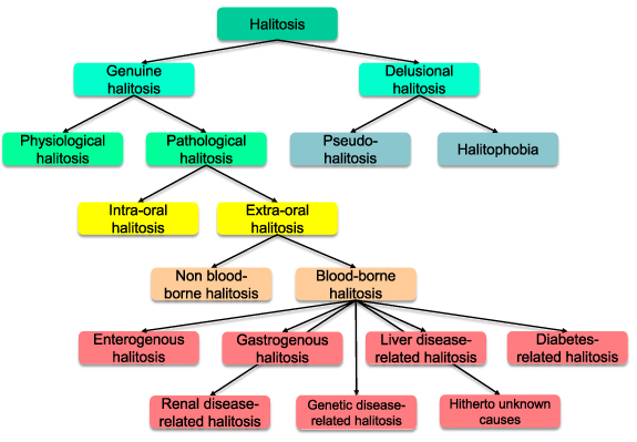Enterogenous extra-oral halitosis has a more severe impact on quality ...