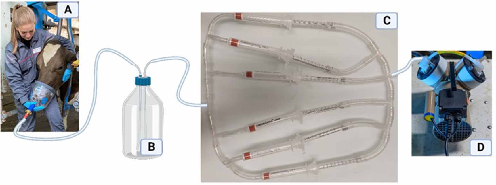 Optimization of volatile organic compounds sampling from dairy cow ...