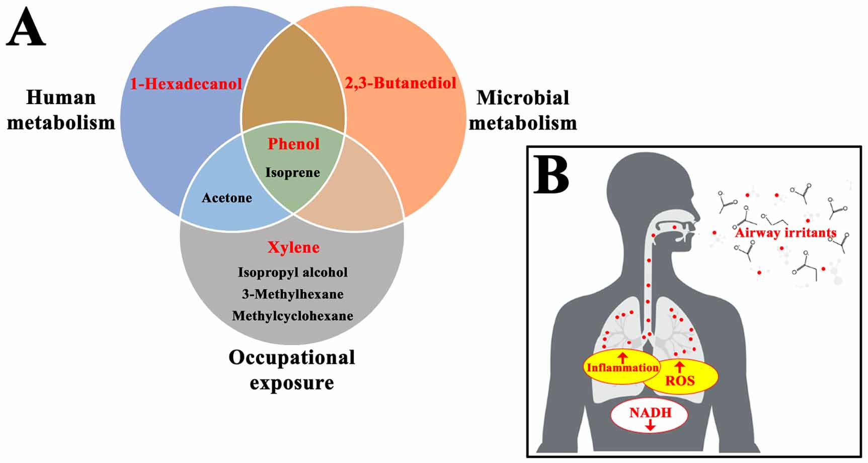 Exploring exhaled breath volatile organic compounds in occupational ...
