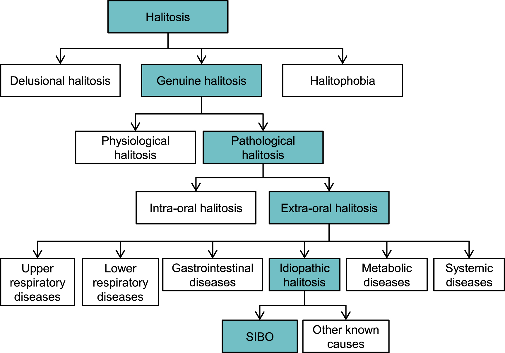 Therapeutic efficacy of a probiotic preparation on idiopathic halitosis ...