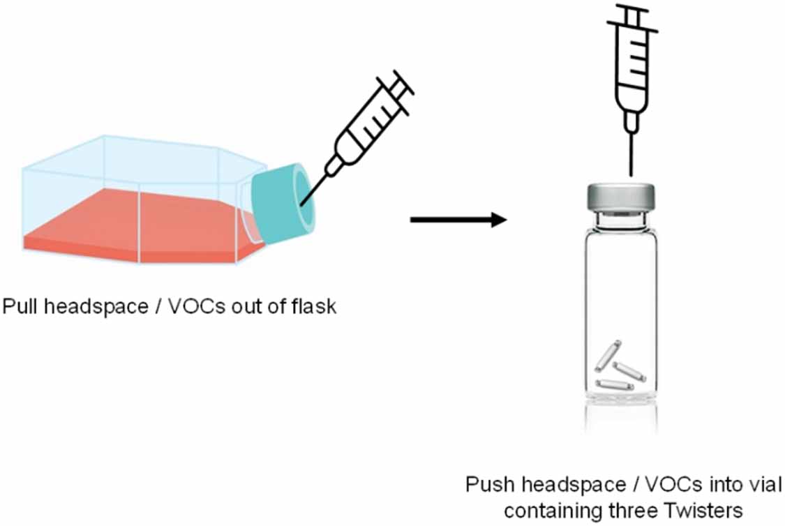 Volatile organic compounds (VOCs) to monitor cell expansion and ...
