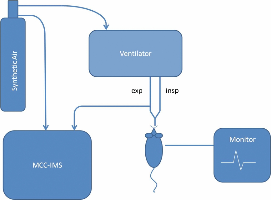 Multi-capillary column-ion mobility spectrometer (MCC-IMS) breath ...