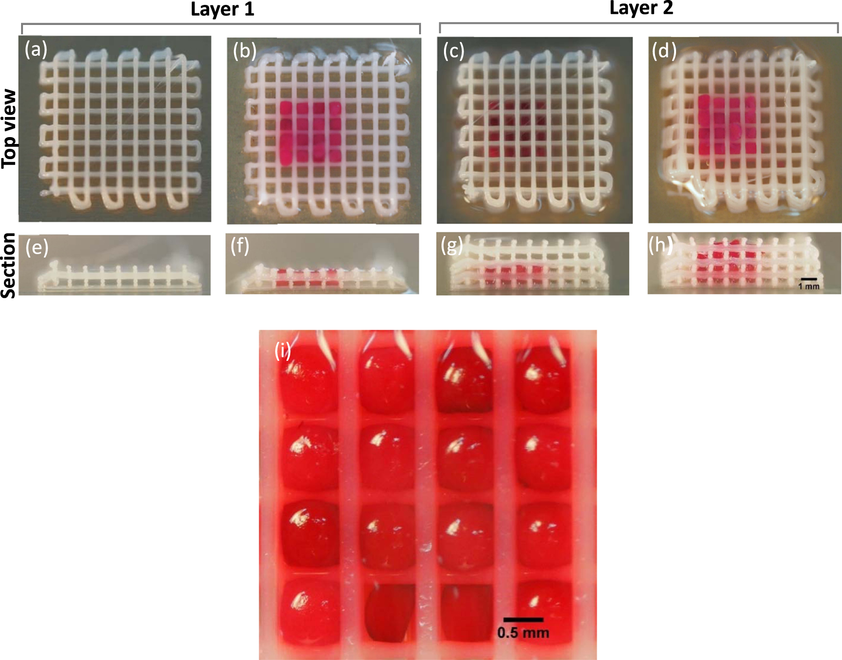 Automated 3D bioassembly of micro-tissues for biofabrication of hybrid ...