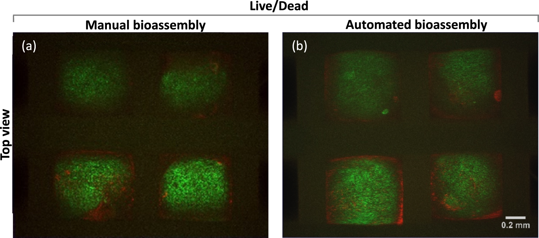 Automated 3D bioassembly of micro-tissues for biofabrication of hybrid ...