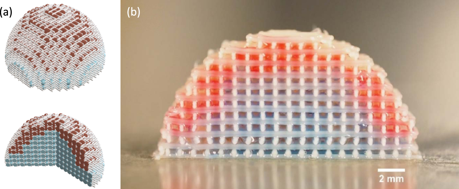 Automated 3D bioassembly of micro-tissues for biofabrication of hybrid ...