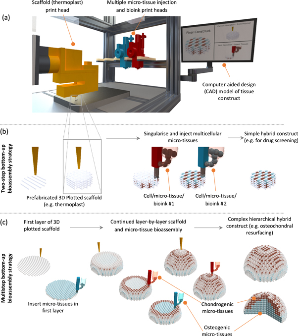 Automated 3D bioassembly of micro-tissues for biofabrication of hybrid ...