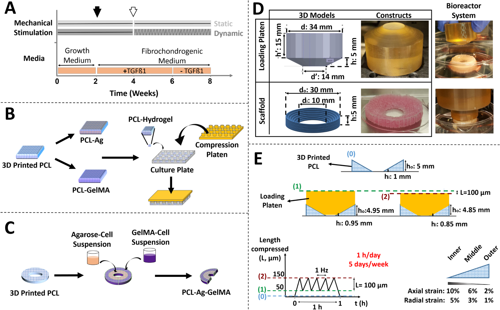 A 3D printed PCL/hydrogel construct with zone-specific biochemical ...