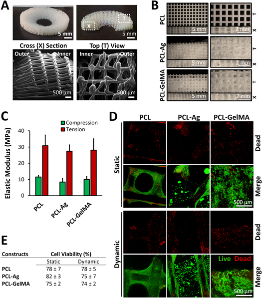 A 3D printed PCL/hydrogel construct with zone-specific biochemical ...