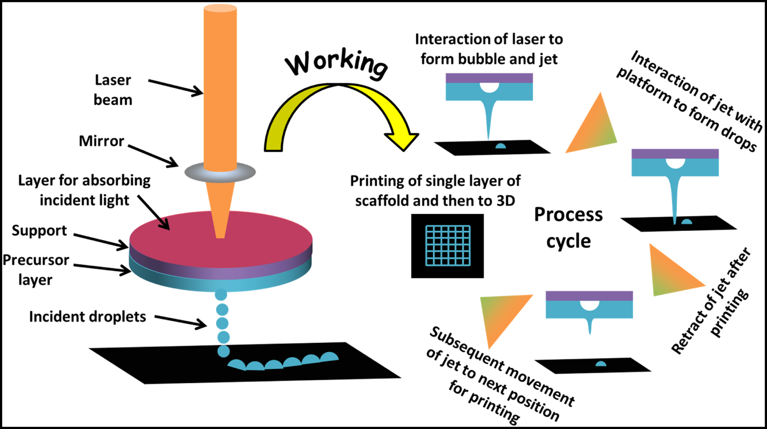Review of alginate-based hydrogel bioprinting for application in tissue ...