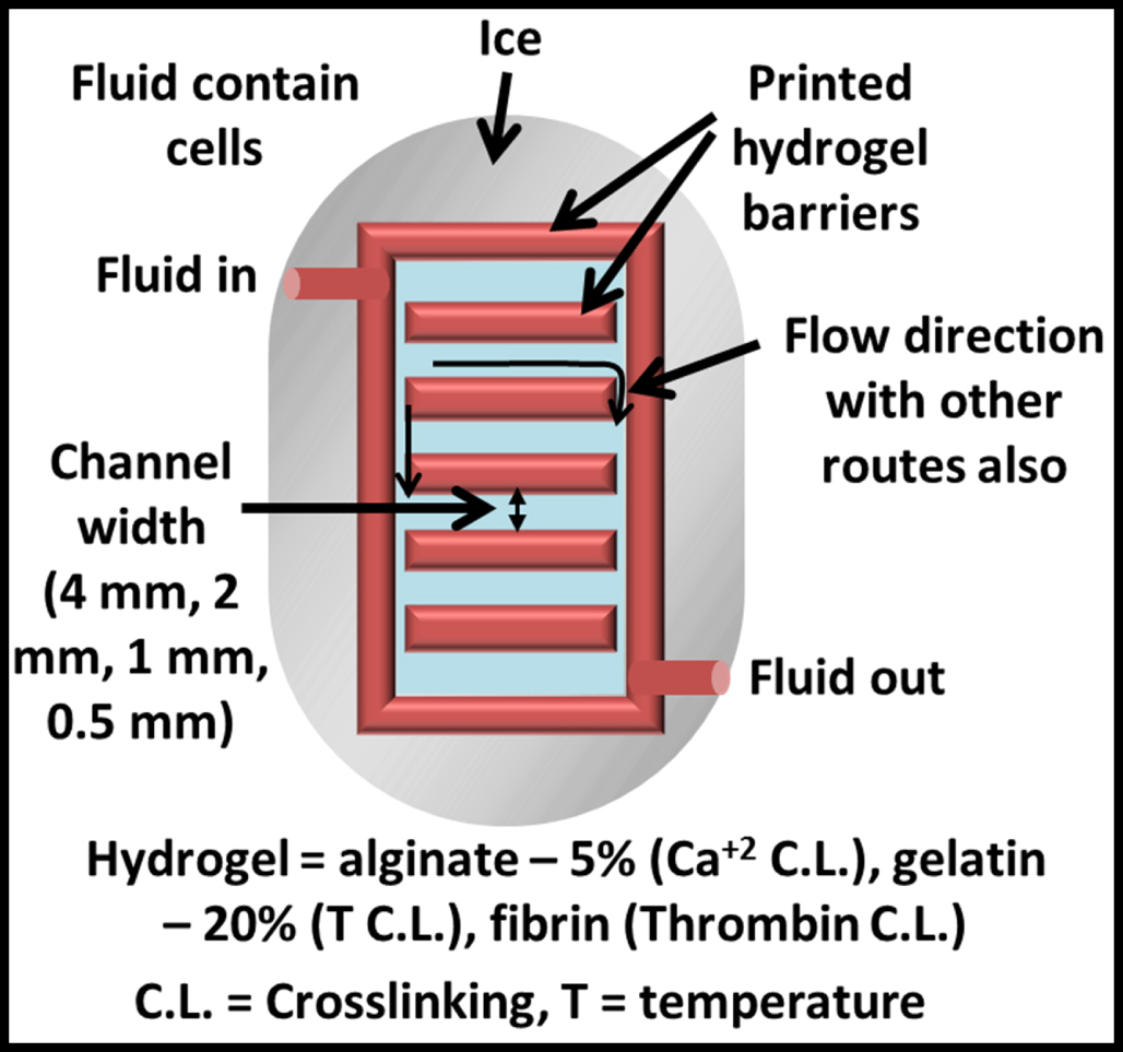 Review of alginate-based hydrogel bioprinting for application in tissue ...