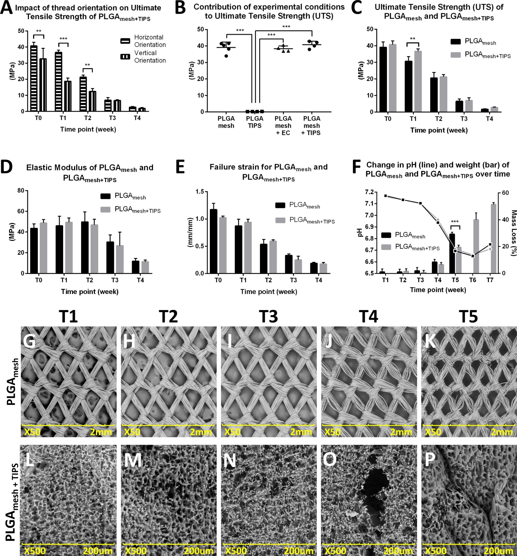 Integration of an ultra-strong poly(lactic-co-glycolic acid) (PLGA ...