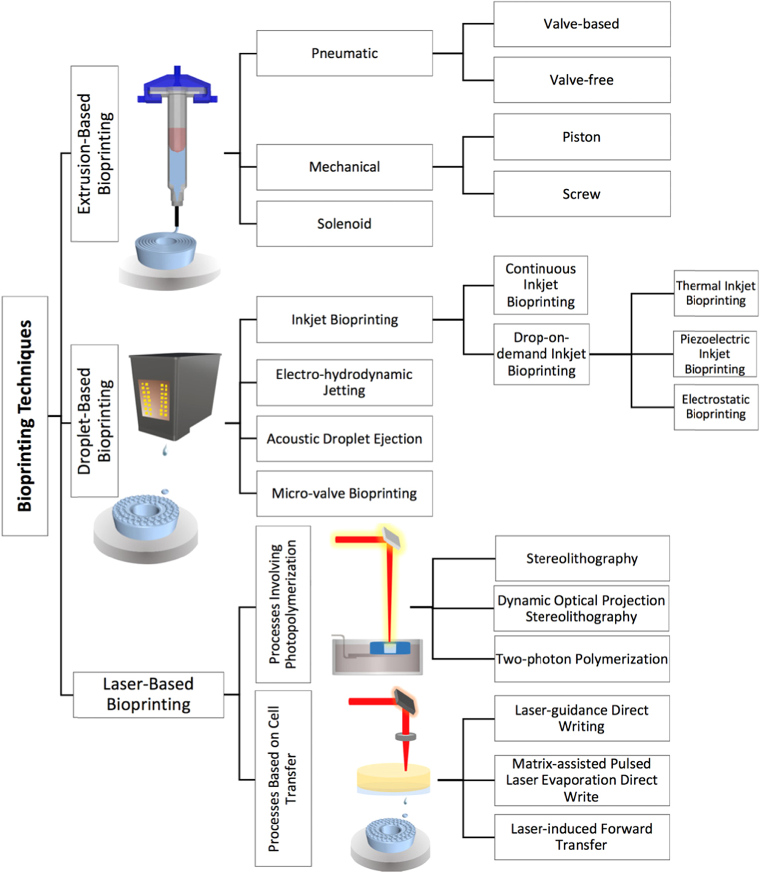The bioprinting roadmap - IOPscience