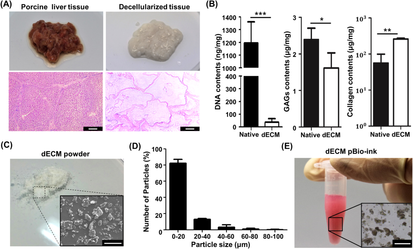 Decellularized extracellular matrix-based bio-ink with enhanced 3D ...