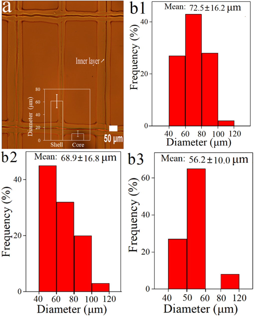 A core–shell multi-drug platform to improve gastrointestinal tract ...