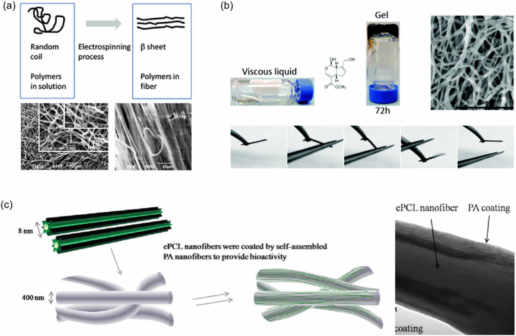 Integrating self-assembly and biofabrication for the development of ...