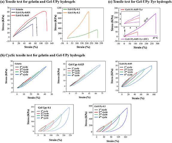 Temperature-programmable and enzymatically solidifiable gelatin-based ...