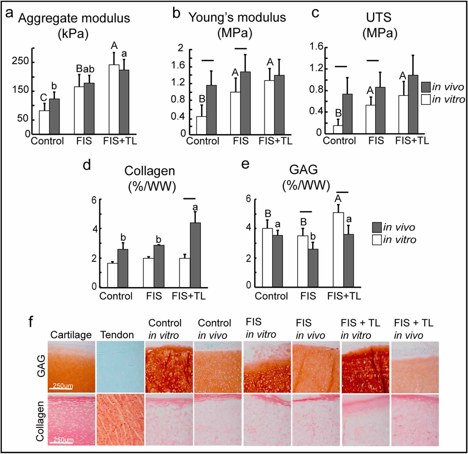 Shear stress induced by fluid flow produces improvements in tissue ...