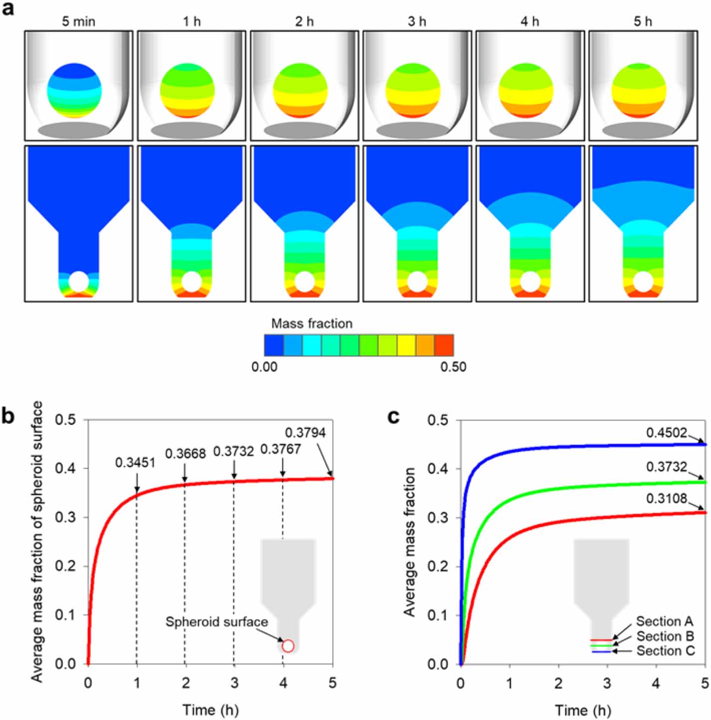 Membrane-bottomed microwell array added to Transwell insert to ...