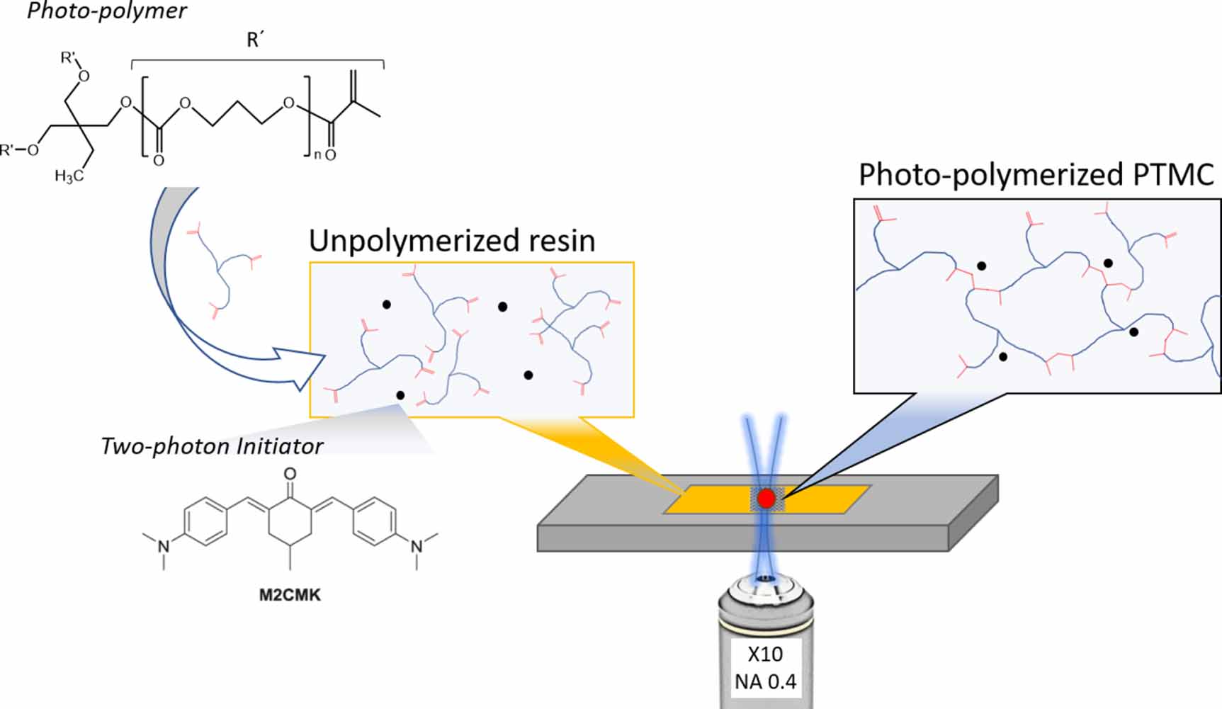 3D Printing of large-scale and highly porous biodegradable tissue ...