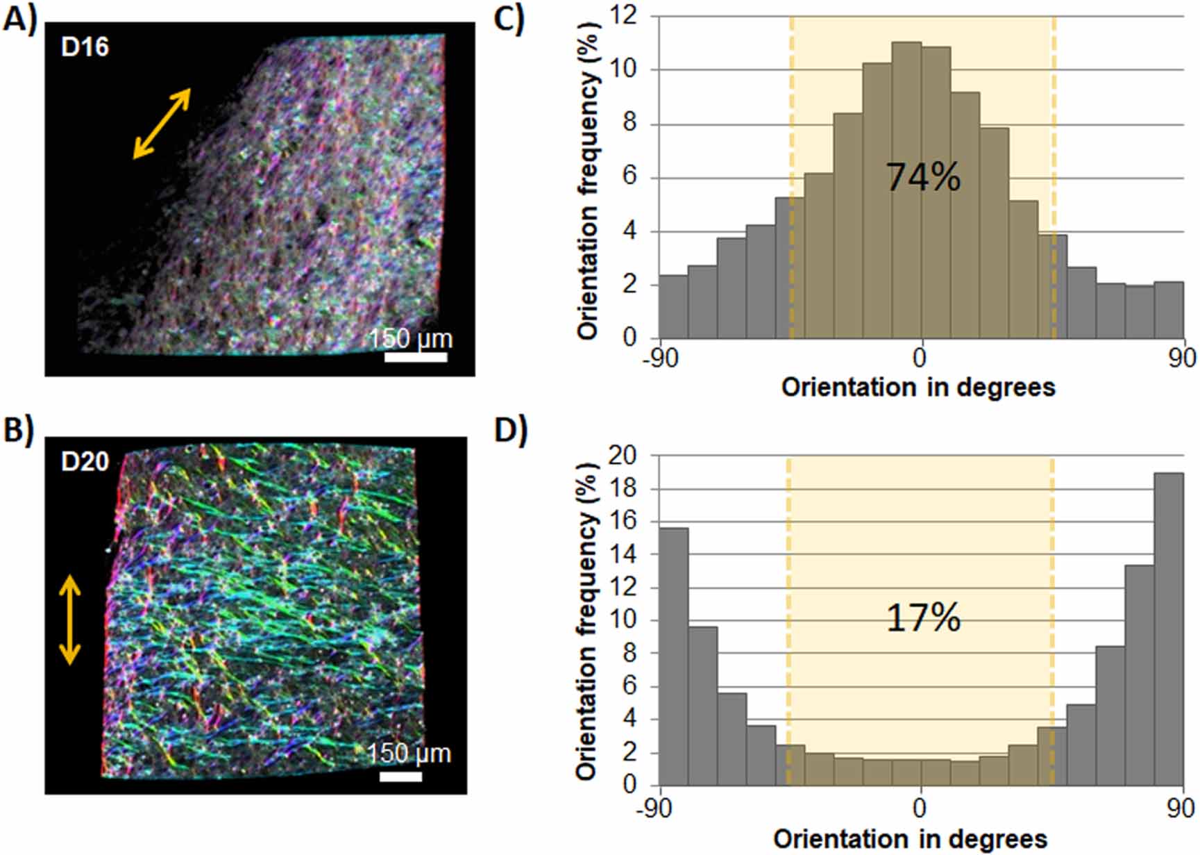 Direct extrusion of individually encapsulated endothelial and smooth ...