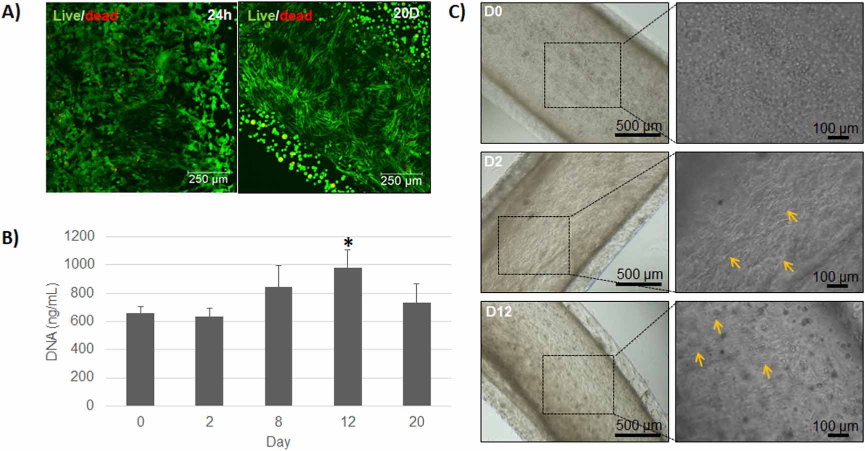 Direct extrusion of individually encapsulated endothelial and smooth ...