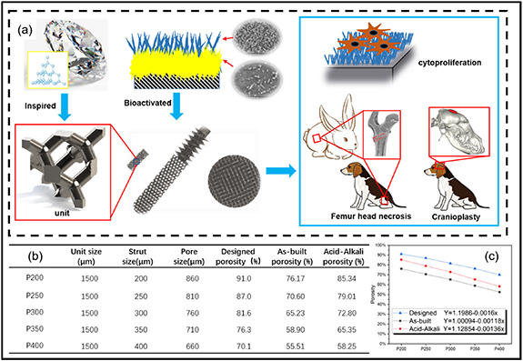 3D printed titanium scaffolds with homogeneous diamond-like structures ...