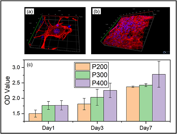 3D printed titanium scaffolds with homogeneous diamond-like structures ...
