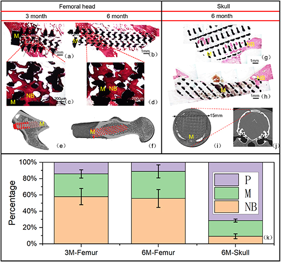 3D printed titanium scaffolds with homogeneous diamond-like structures ...