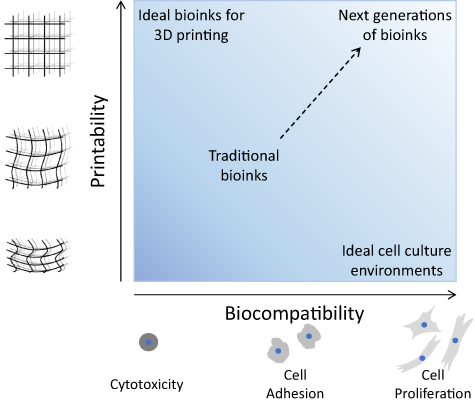 Engineering bioinks for 3D bioprinting - IOPscience