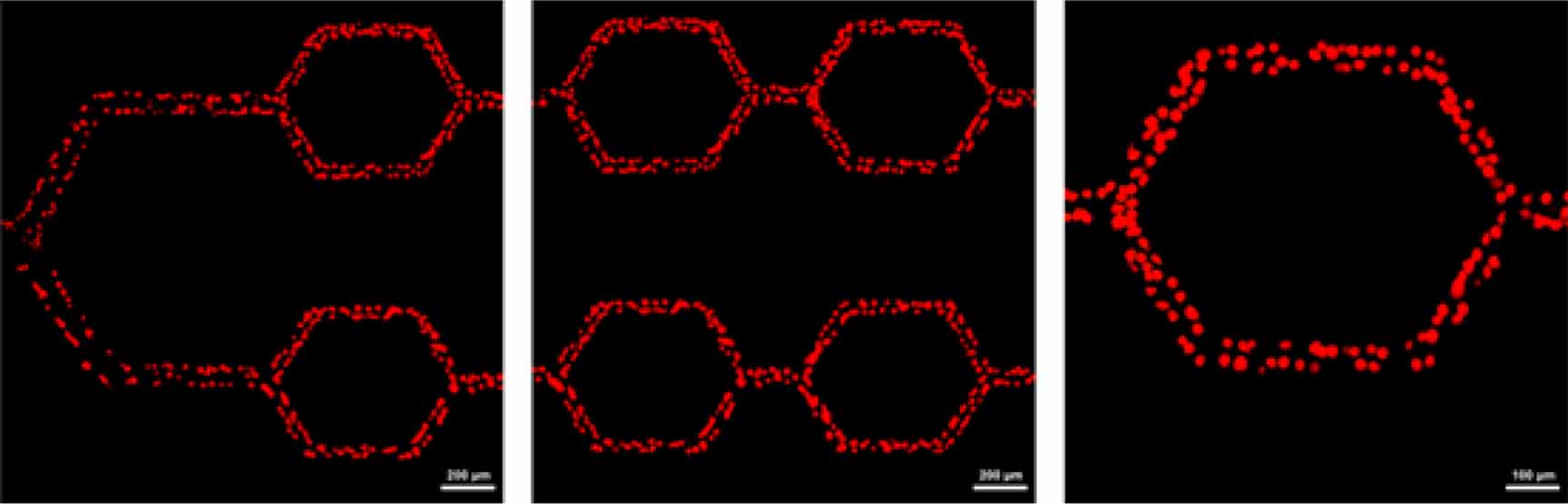 Fabrication of microvascular constructs using high resolution ...