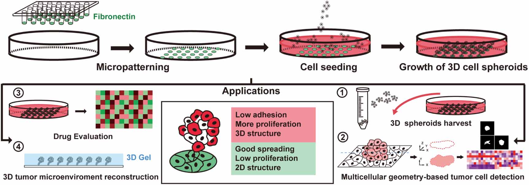 Simultaneous 2D and 3D cell culture array for multicellular geometry ...
