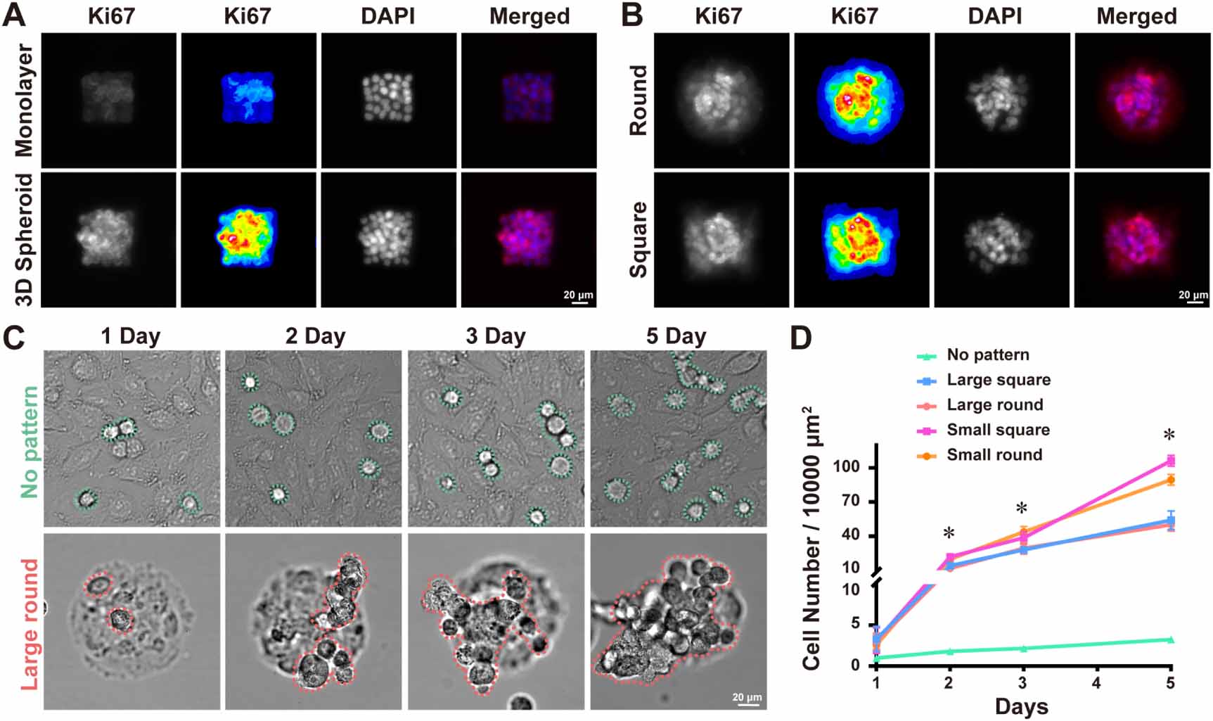 Simultaneous 2D and 3D cell culture array for multicellular geometry ...