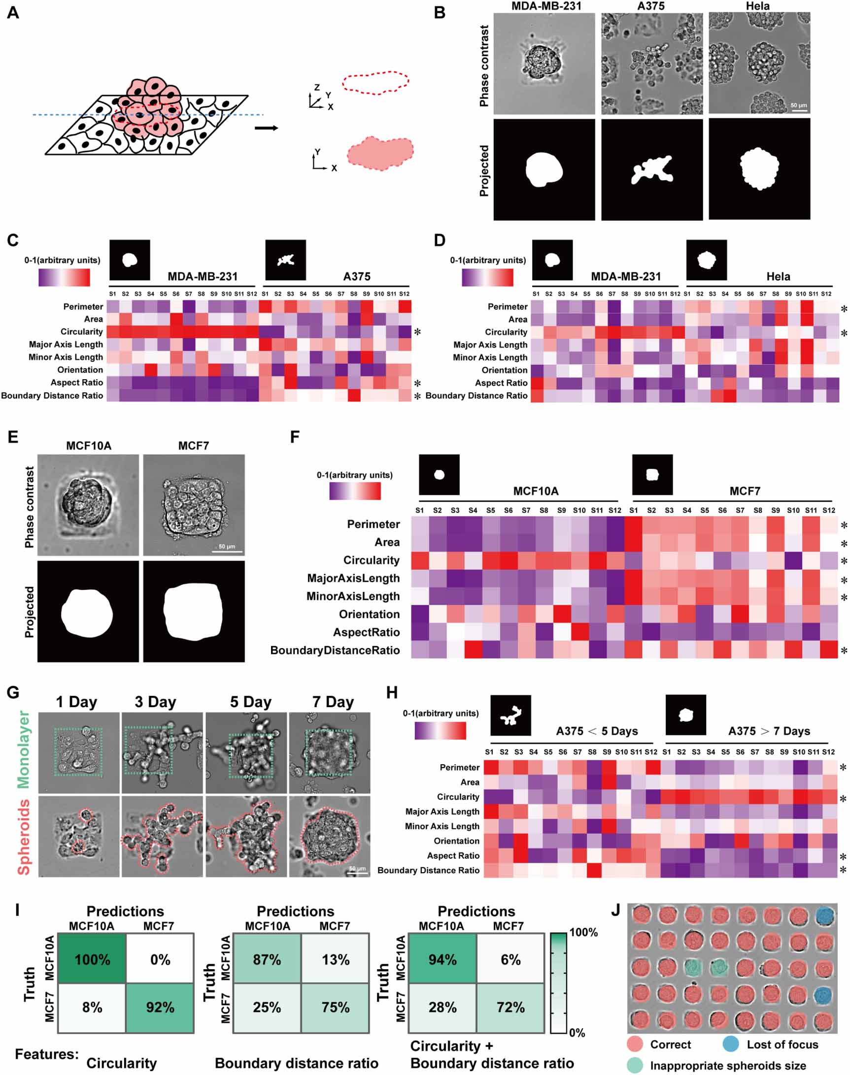 Simultaneous 2D and 3D cell culture array for multicellular geometry ...