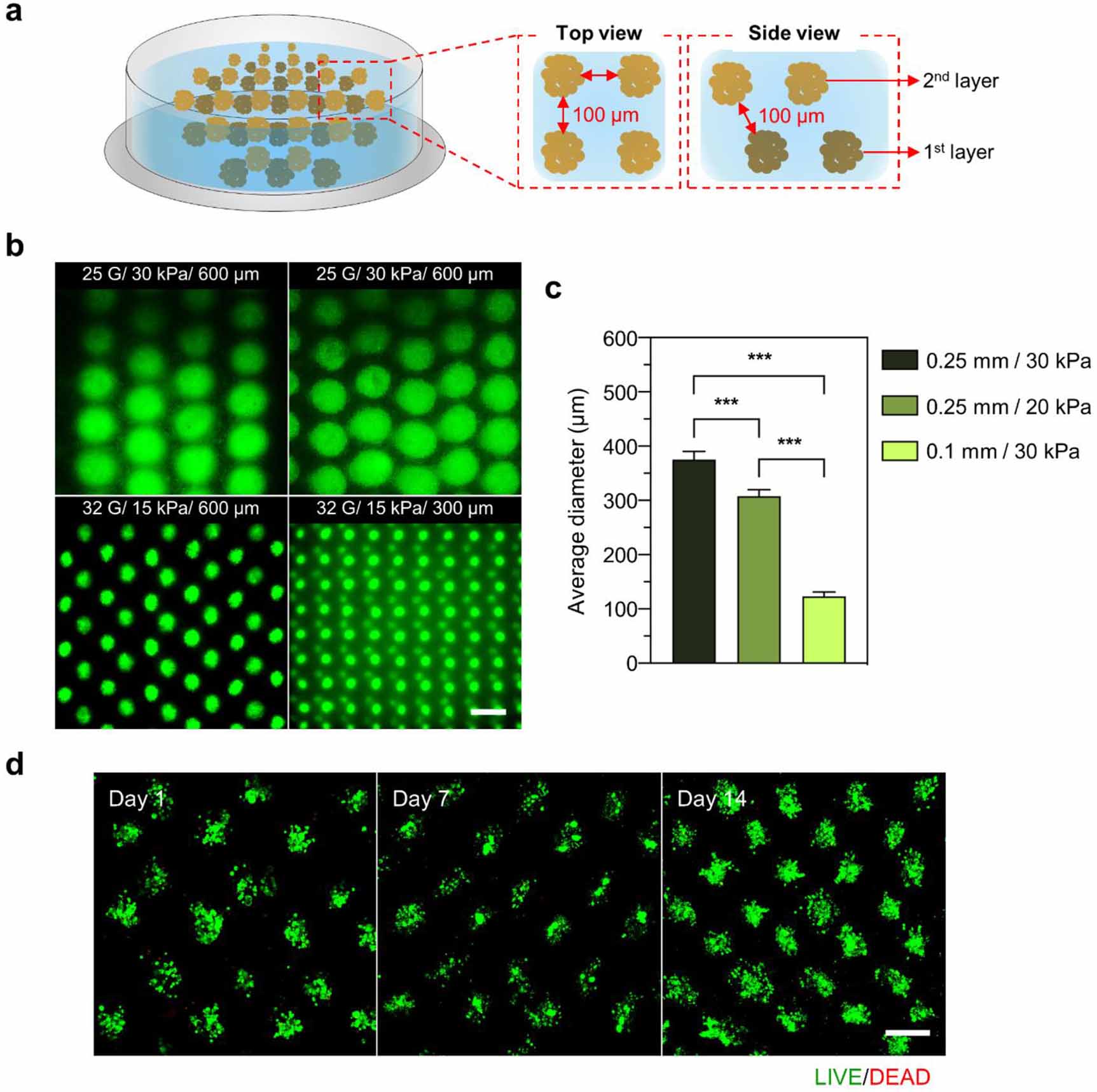 A 3D bioprinted hybrid encapsulation system for delivery of human ...