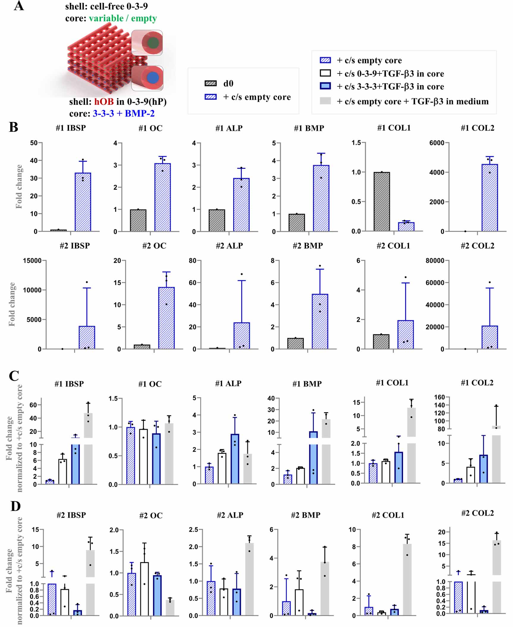 Core–shell bioprinting as a strategy to apply differentiation factors ...
