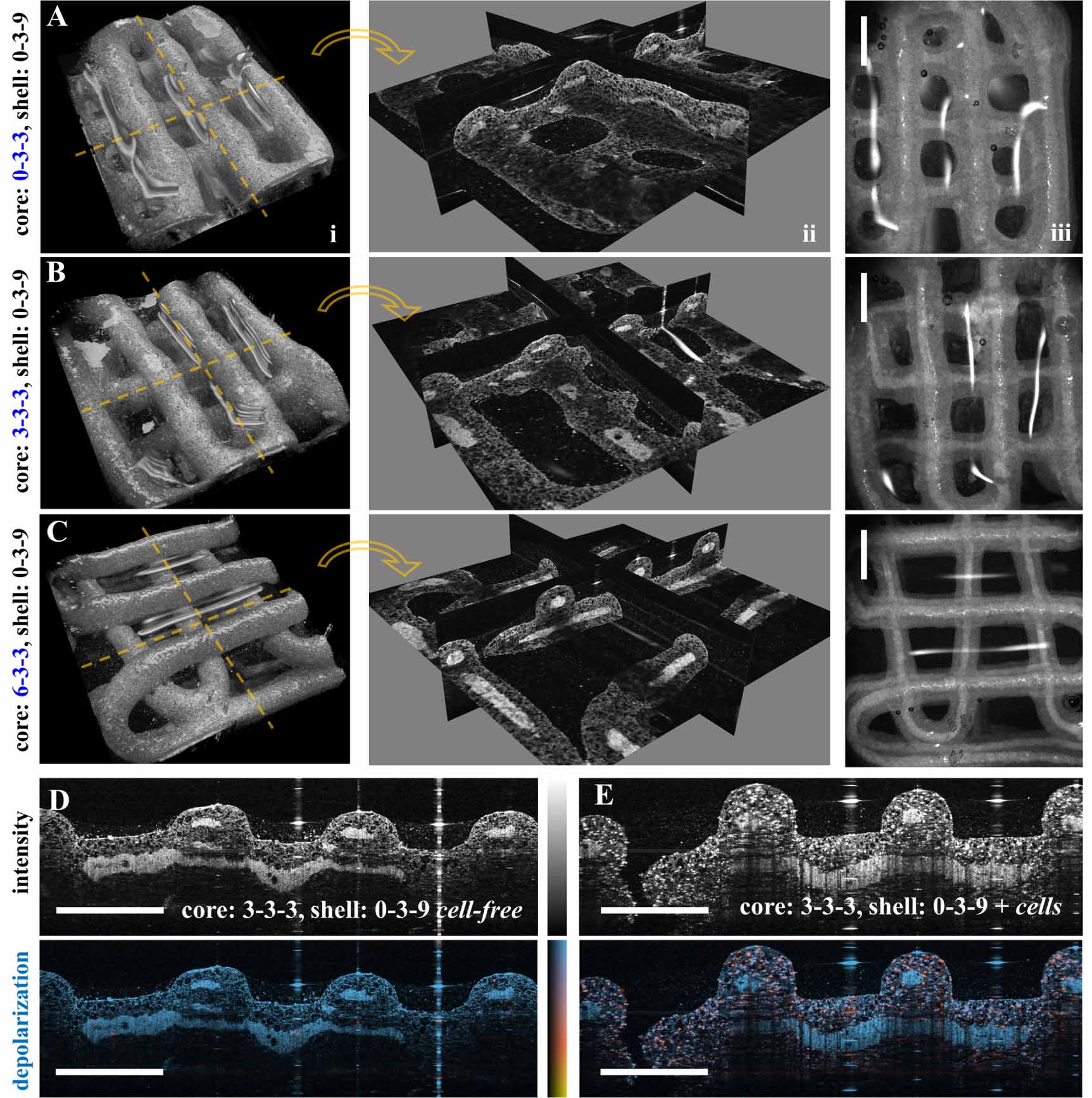 Core–shell bioprinting as a strategy to apply differentiation factors ...
