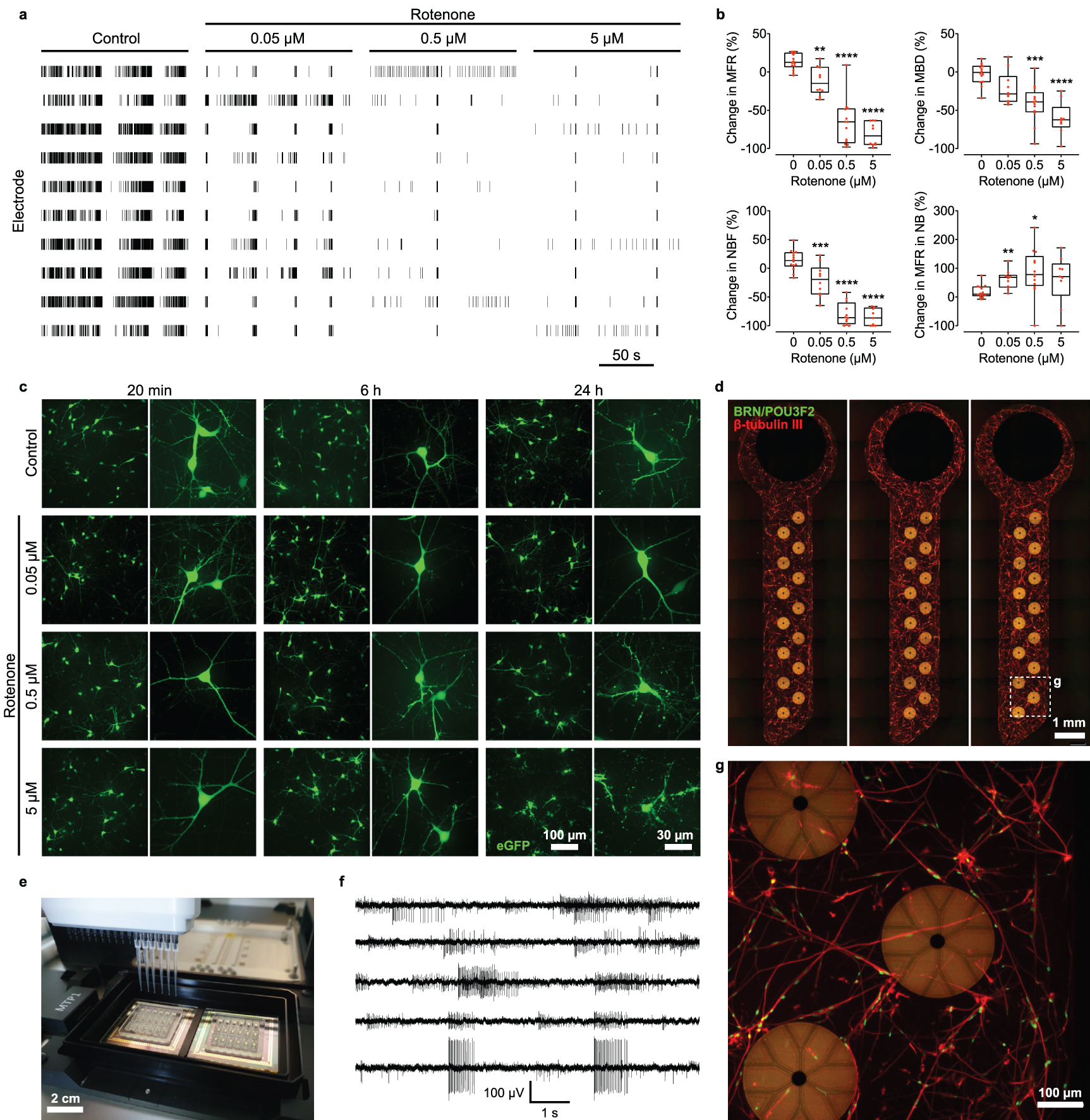 A multimodal 3D neuro-microphysiological system with neurite-trapping ...