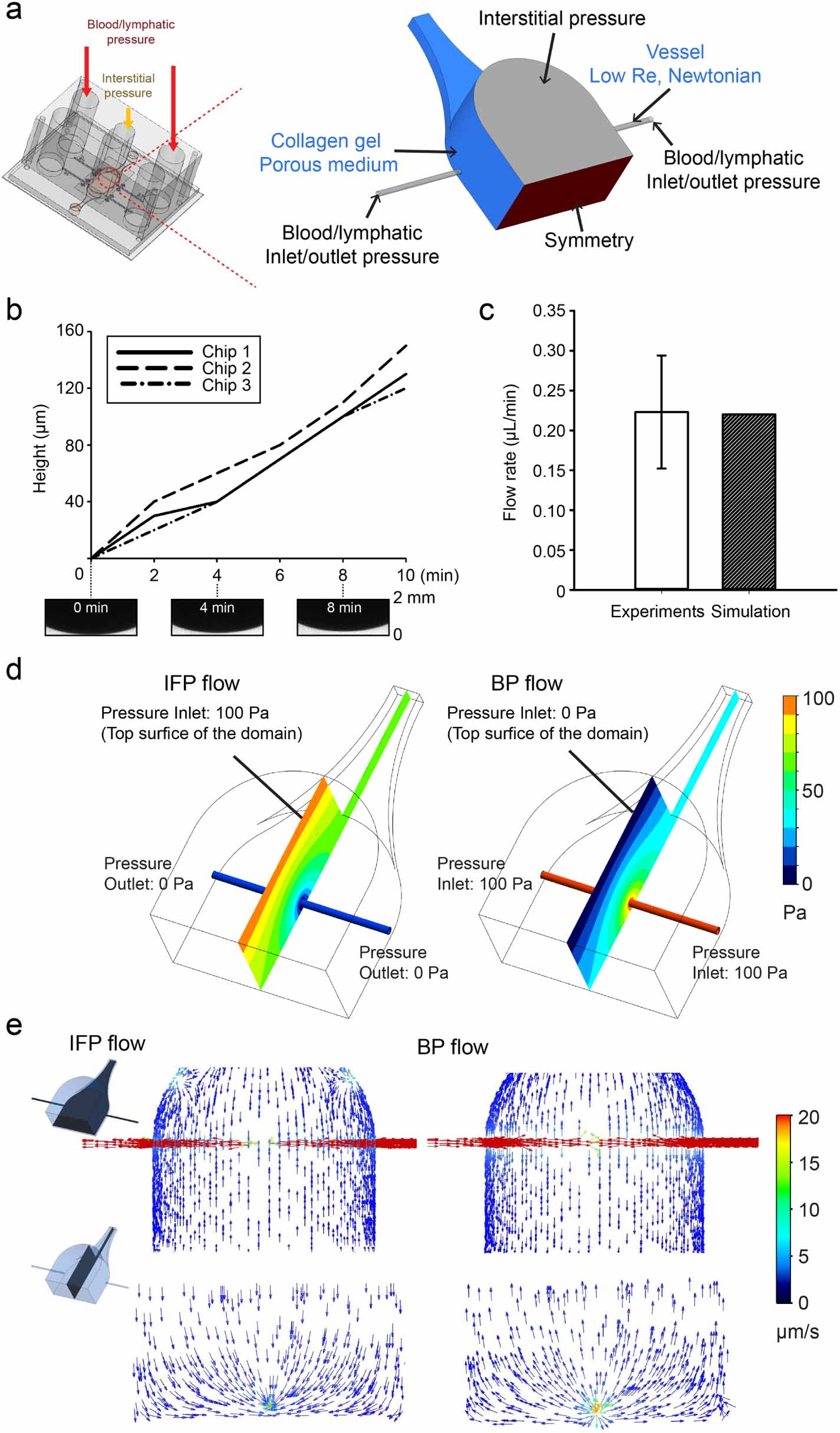 Multilayer microfluidic platform for the study of luminal, transmural ...