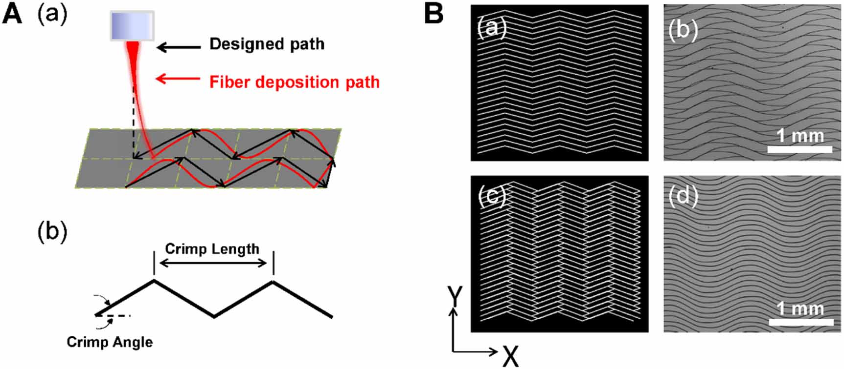 Fabrication of bioinspired grid-crimp micropatterns by melt ...
