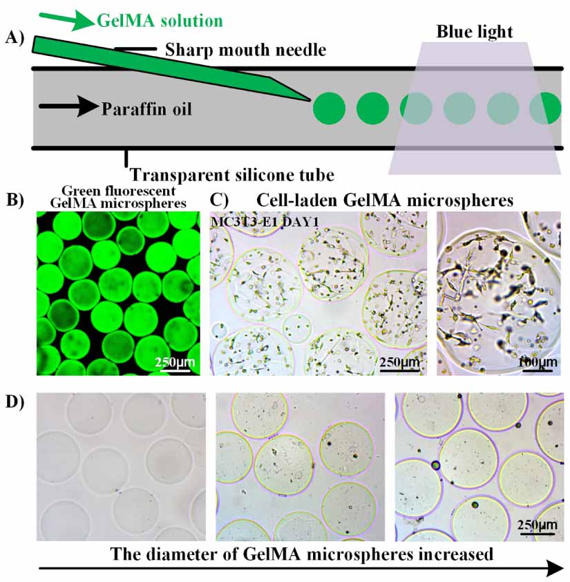 User-friendly microfluidic manufacturing of hydrogel microspheres with ...