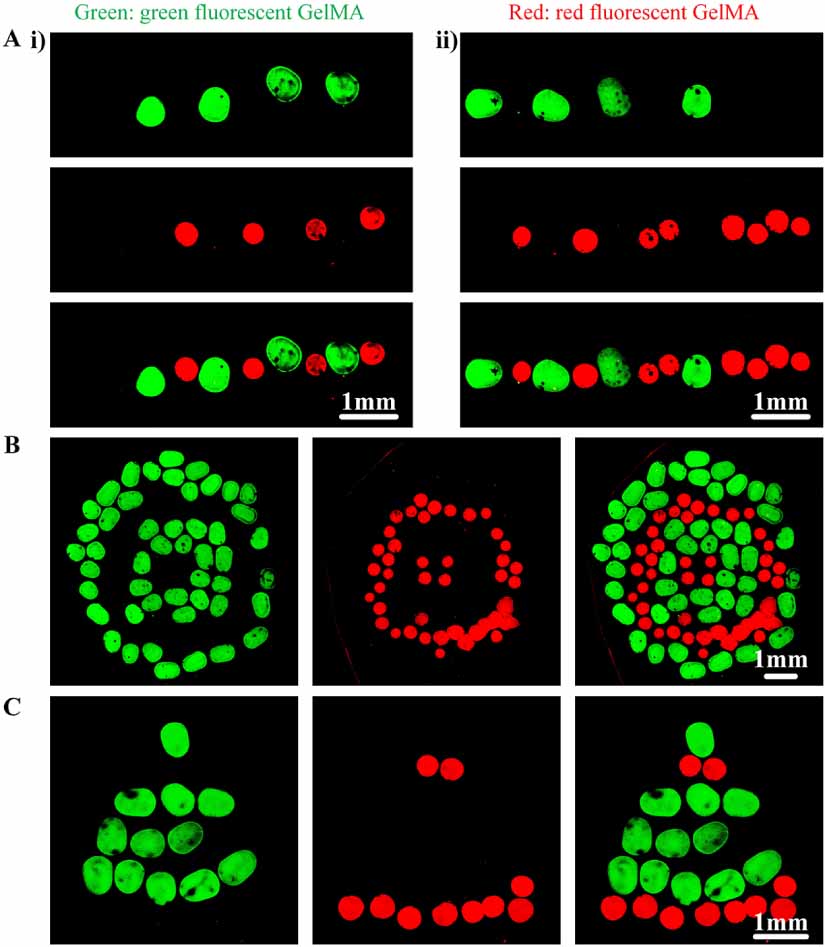 User-friendly microfluidic manufacturing of hydrogel microspheres with ...