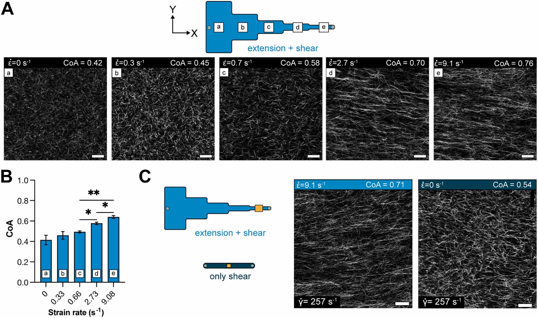 Local extensional flows promote long-range fiber alignment in 3D ...