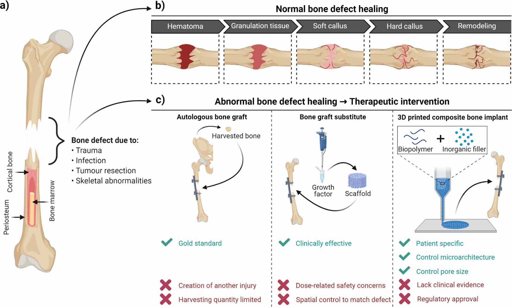 3D printing of inorganic-biopolymer composites for bone regeneration ...