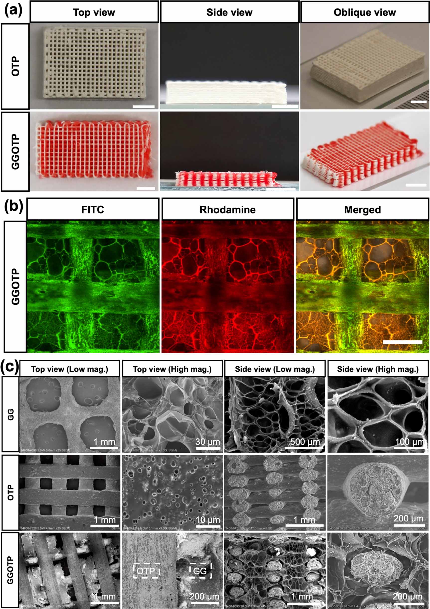 Low temperature hybrid 3D printing of hierarchically porous bone tissue ...
