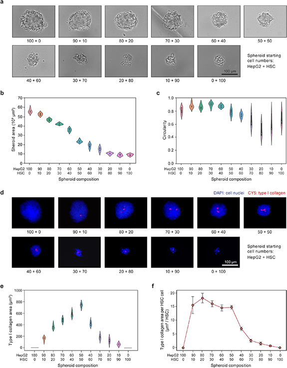 Controlled fabrication of functional liver spheroids with microfluidic ...