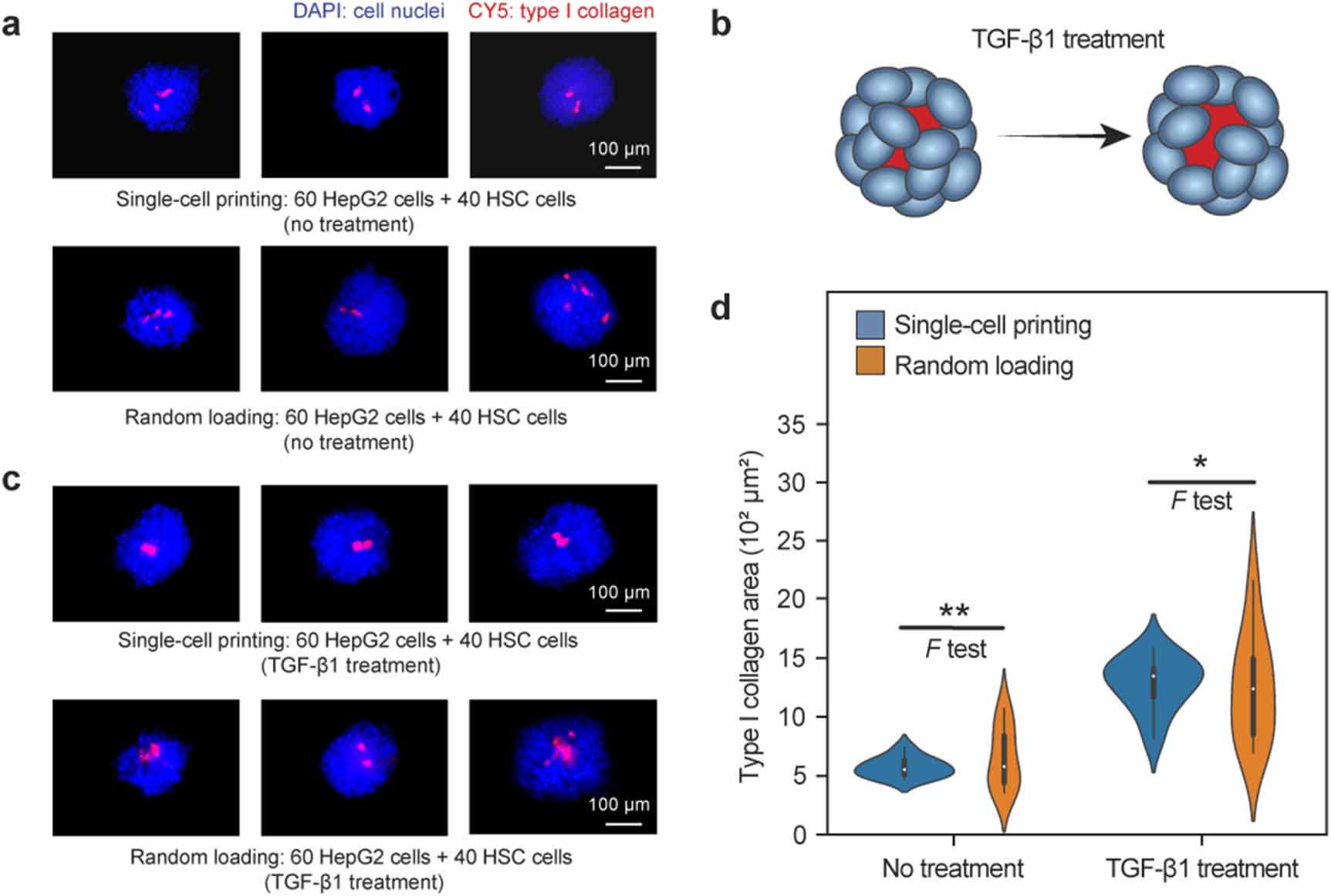Controlled fabrication of functional liver spheroids with microfluidic ...