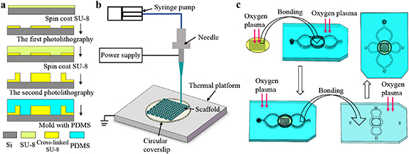 Engineering a dynamic three-dimensional cell culturing microenvironment ...