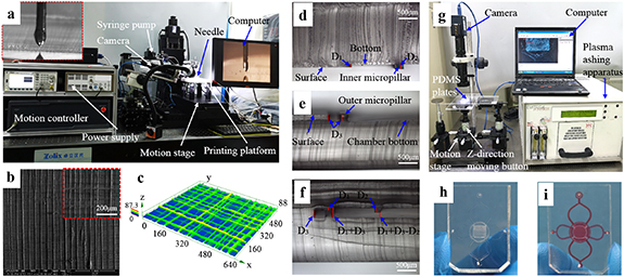Engineering a dynamic three-dimensional cell culturing microenvironment ...